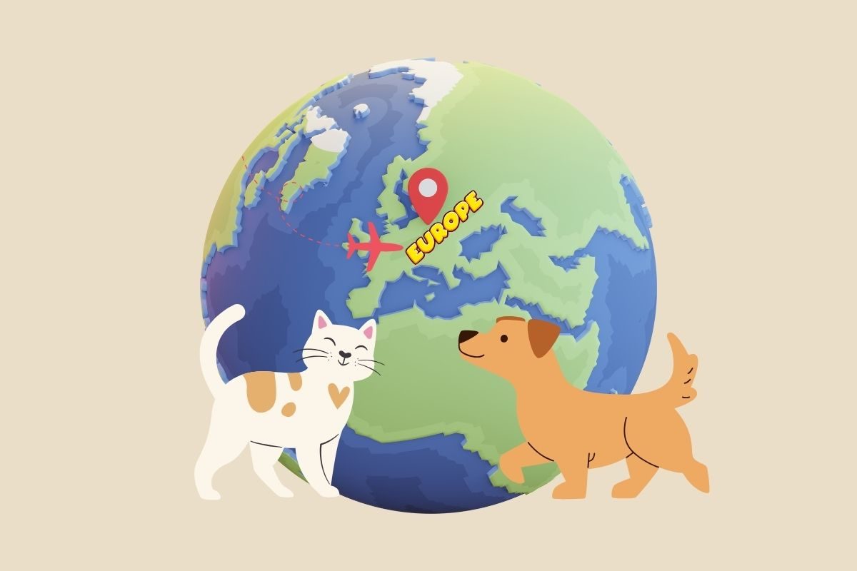 How to Bring Your Dog or Cat to Europe (2025 Guide)